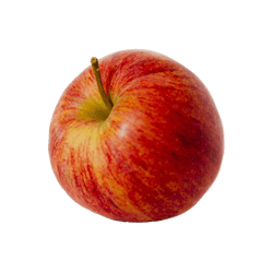 Cookd - Your Cooking Buddy