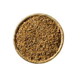 Cookd - Your Cooking Buddy